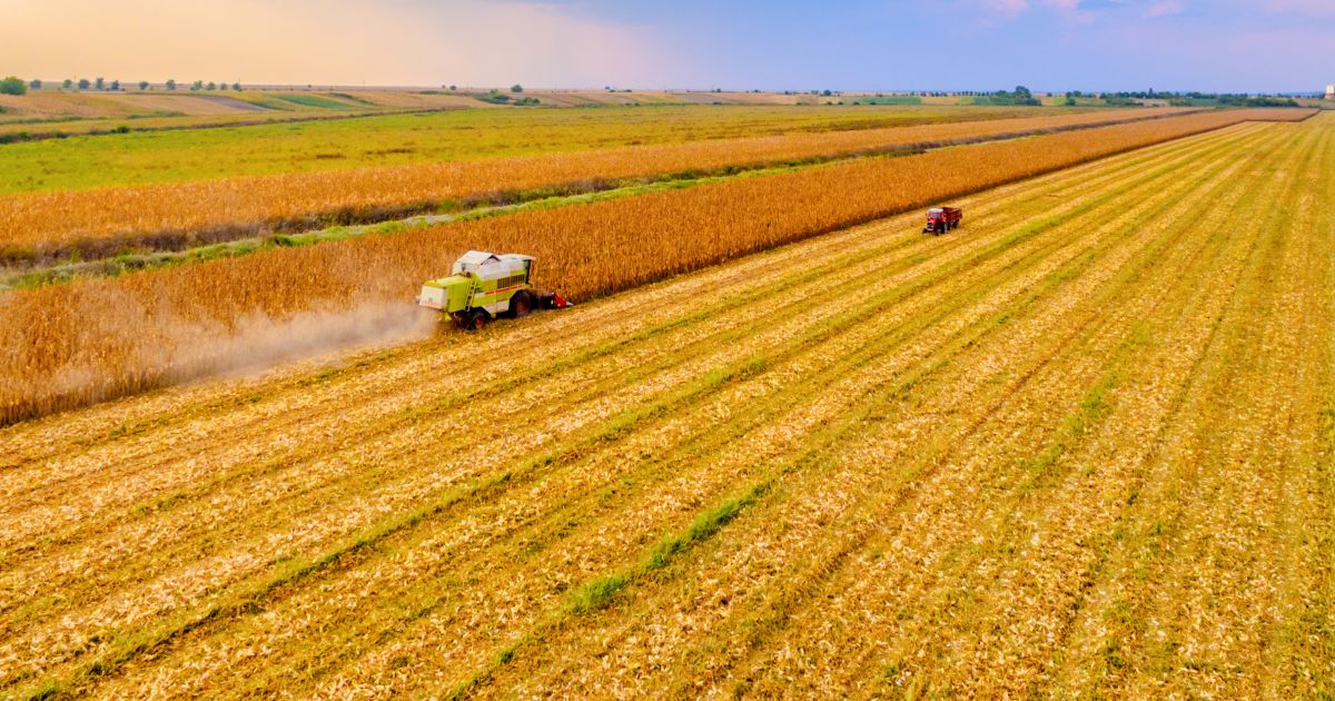 Agrario | Cajasur Particulares
